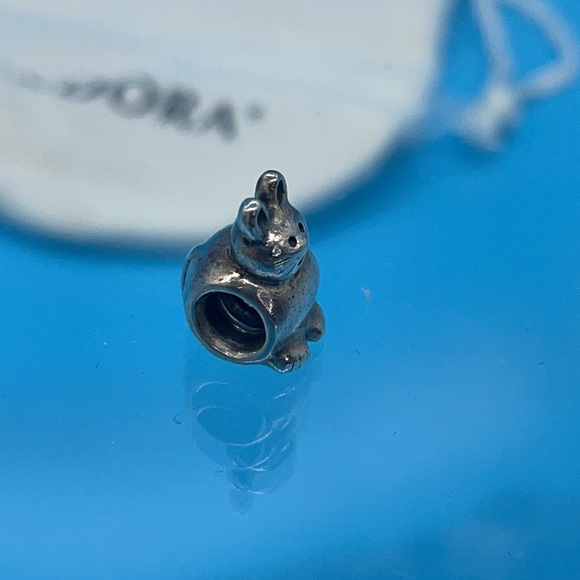 Pandora | Jewelry | Pandora Cat Charm | Poshmark